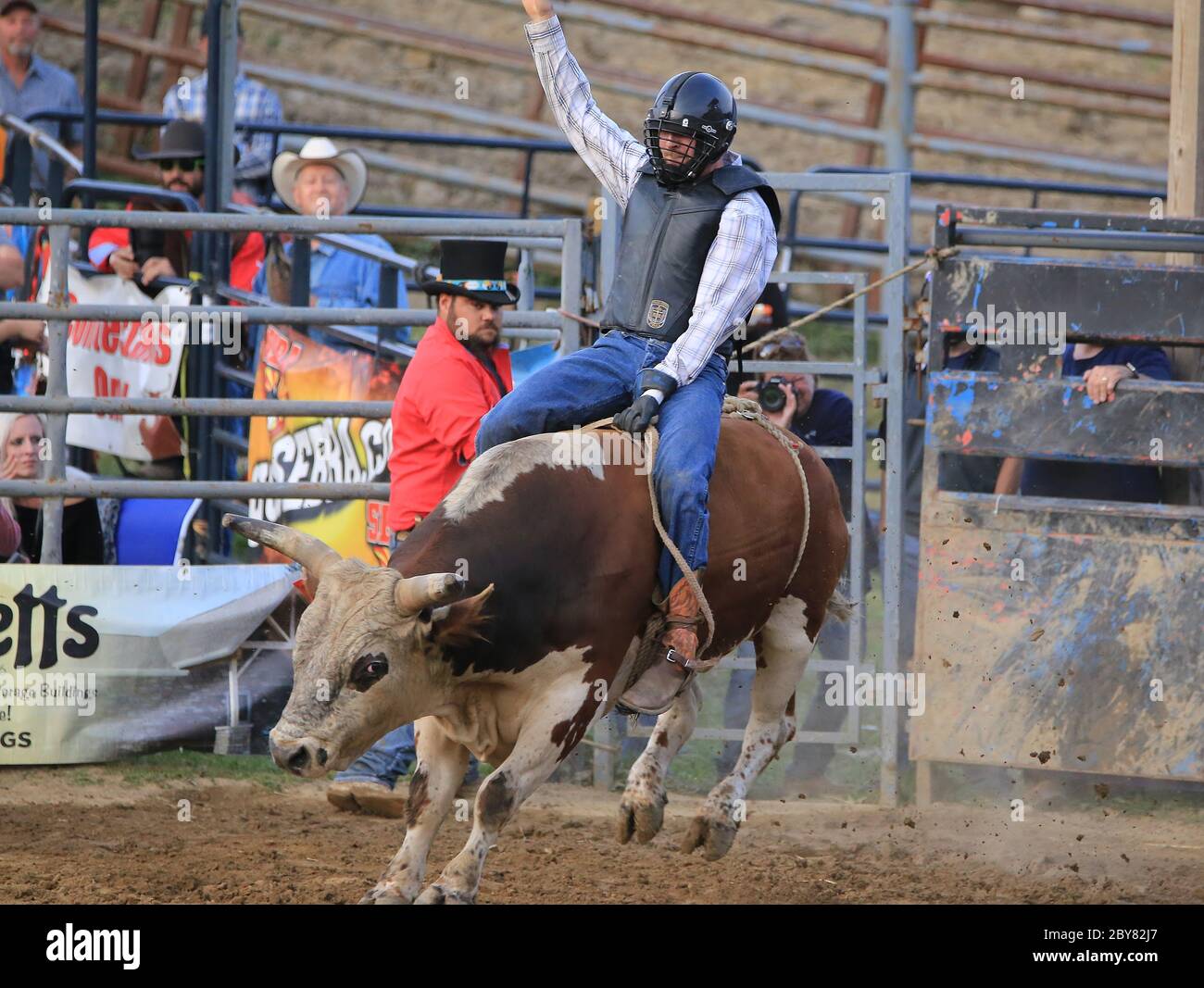 Western Cowboy Riding a Bull 8 Seconds long Stock Photo - Alamy