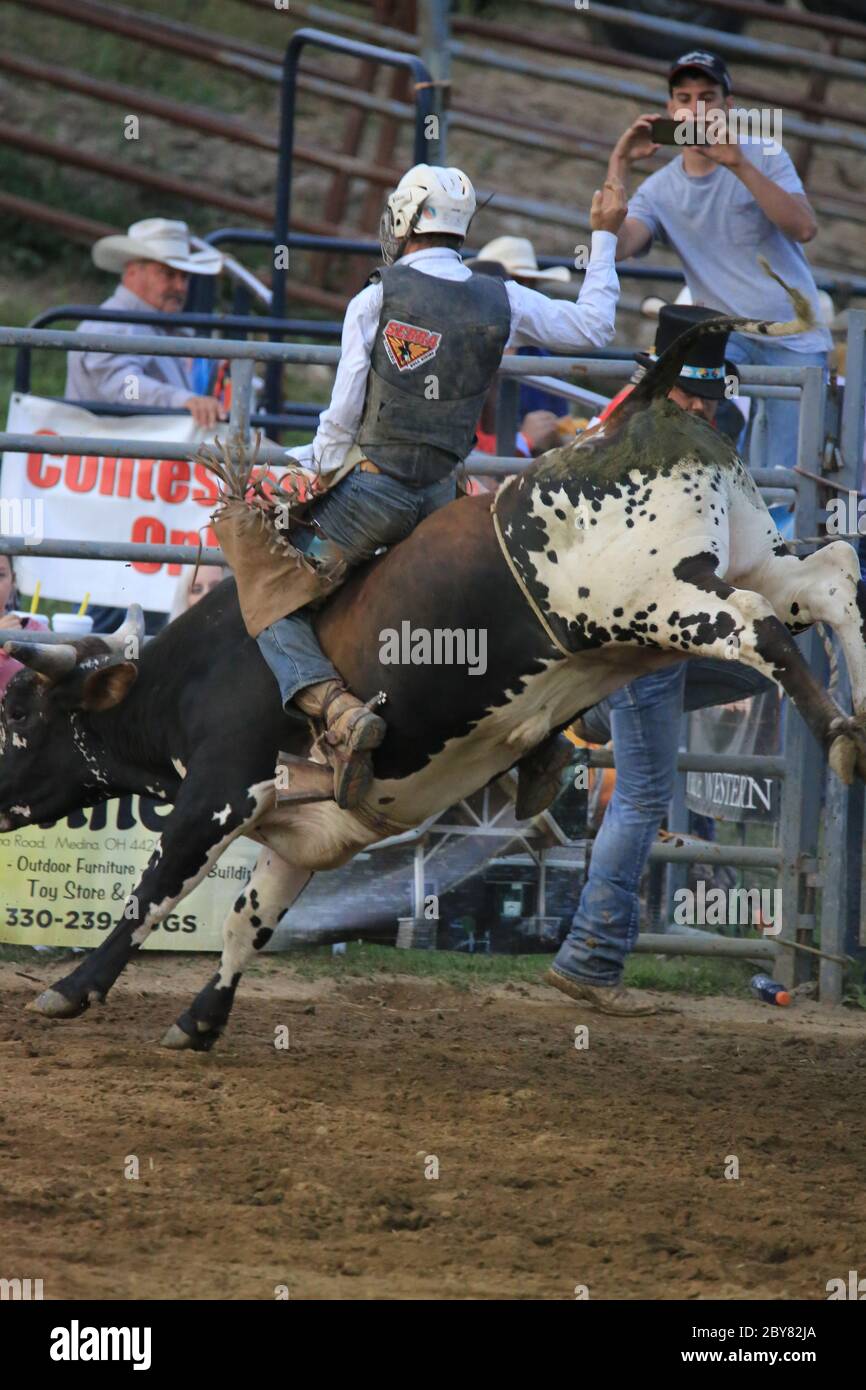 Rodeo event bull riding Stock Photo - Alamy