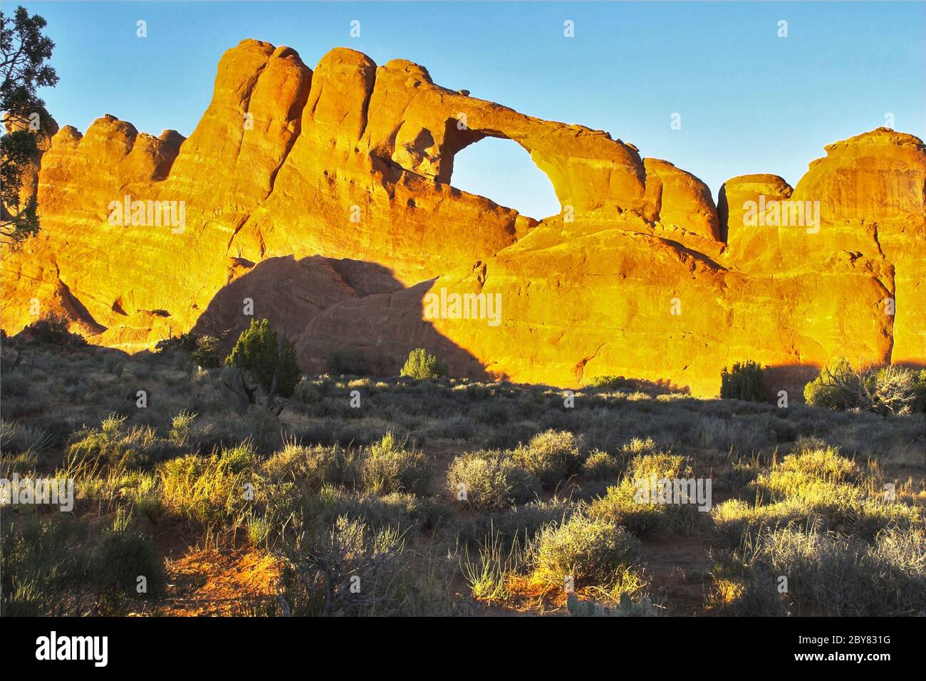 Sharp arches hi-res stock photography and images - Alamy
