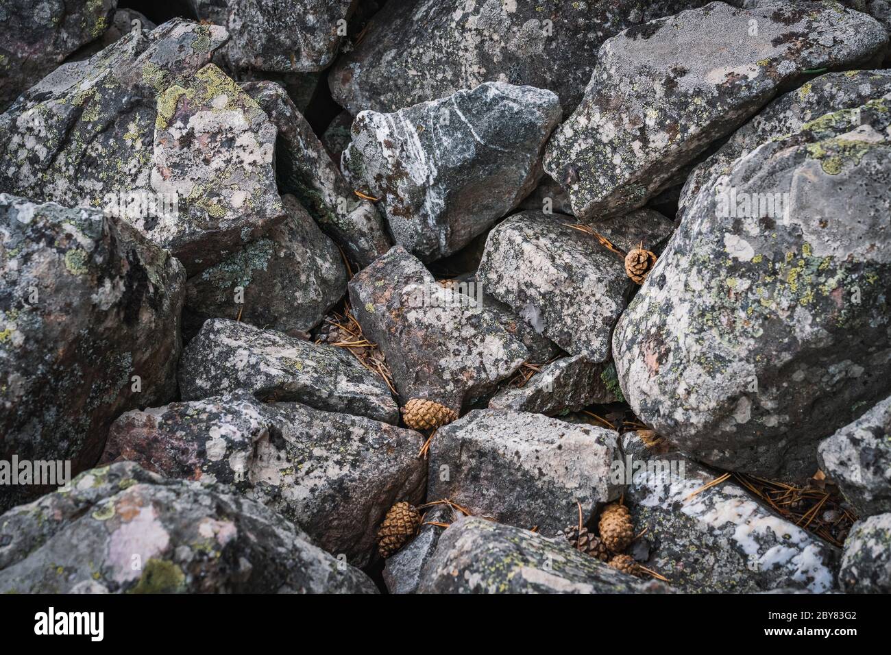 Background of rocky ground of large quartzite stones Stock Photo - Alamy