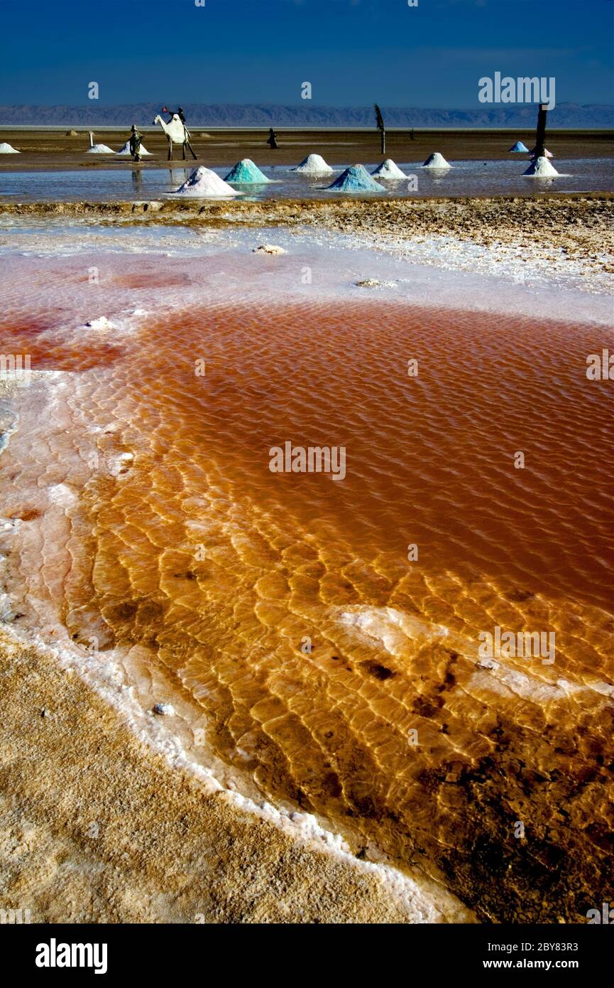 salt lake desert Stock Photo - Alamy