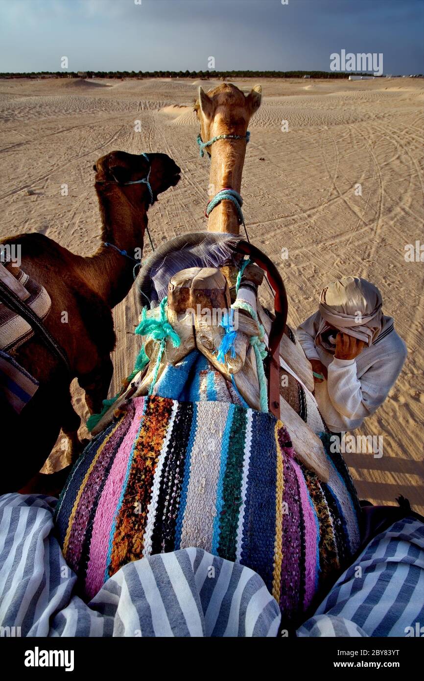 saddle in sahara Stock Photo - Alamy