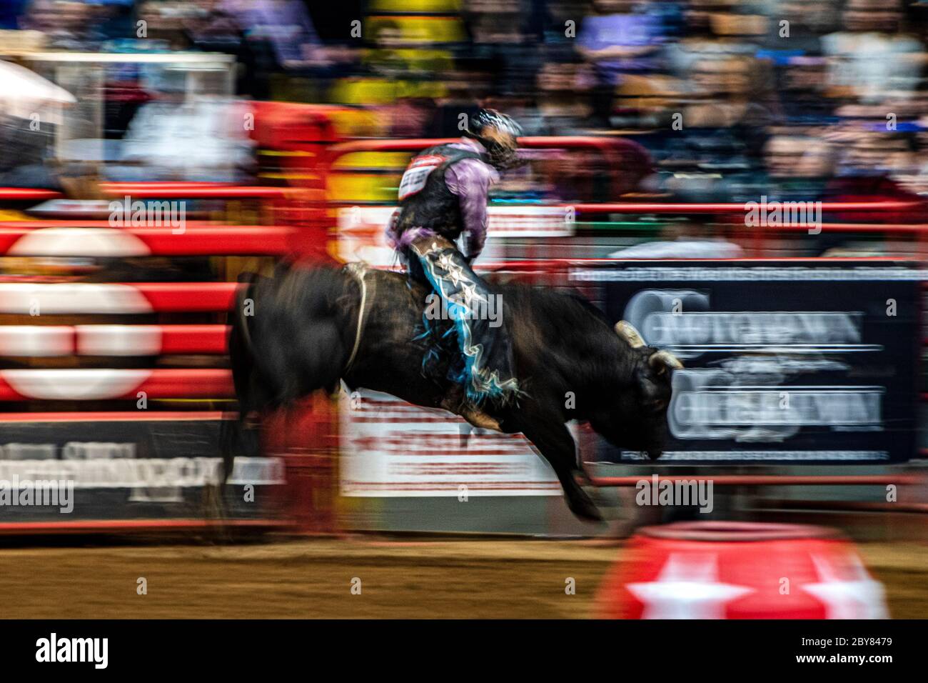 Bull riding fort worth hi-res stock photography and images - Alamy