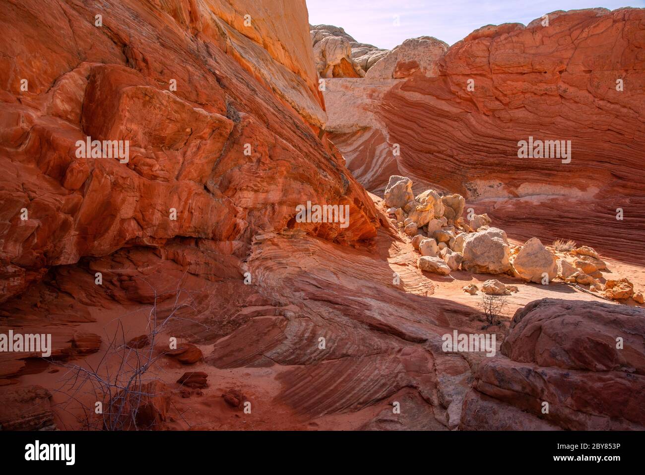 North America, USA, American, Southwest, Colorado Plateau, Arizona ...