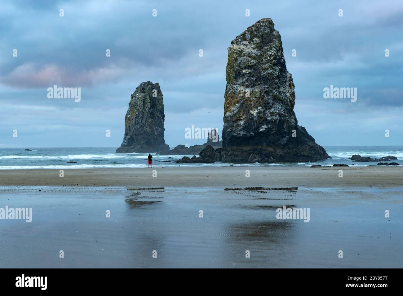 USA, Pacific Northwest, Oregon, Oregon Coast, Cannon Beach, sea stack ...