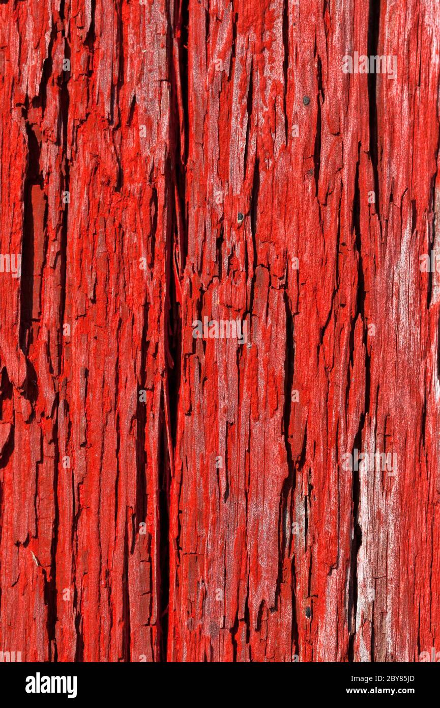 Red Cracked Texture