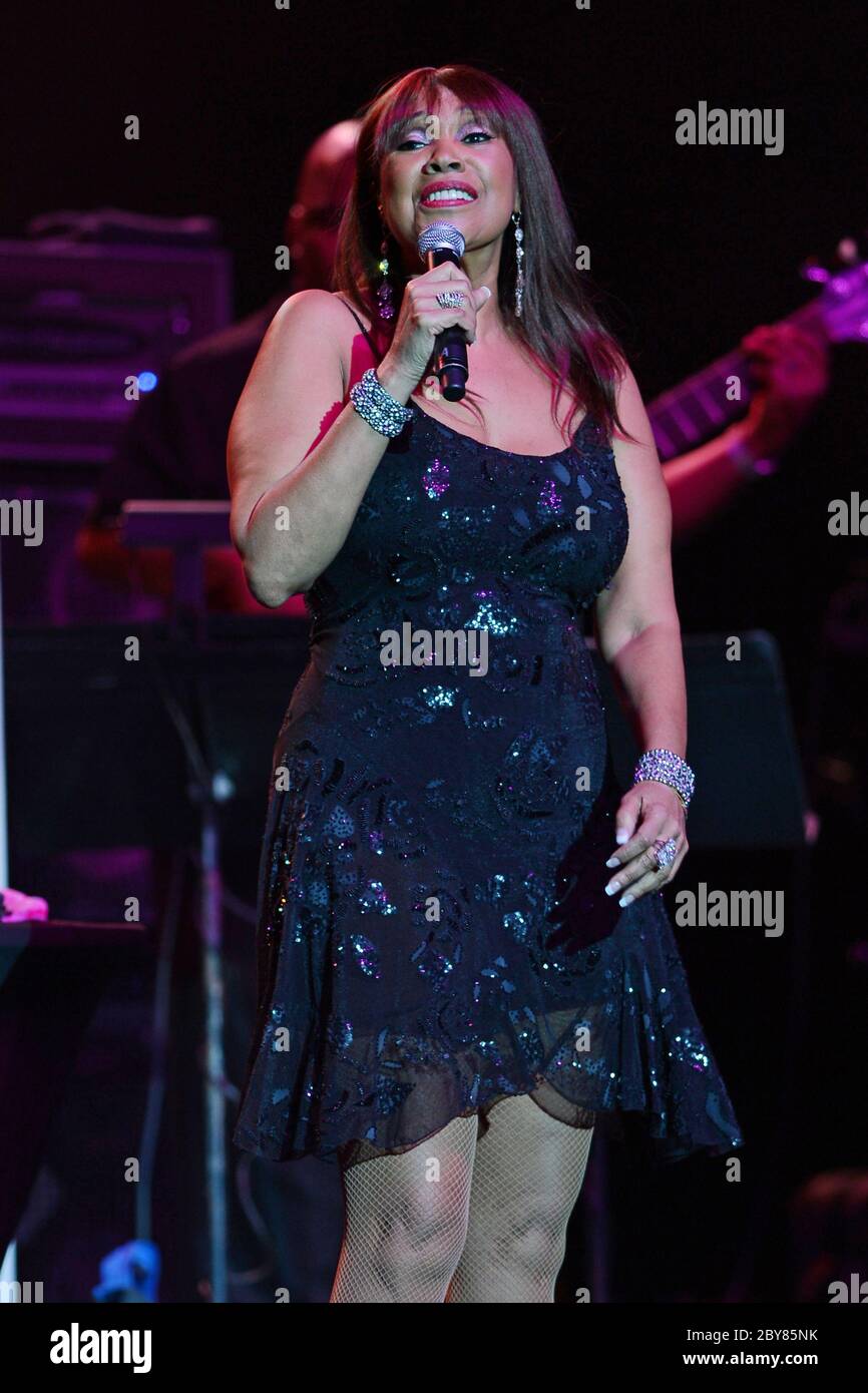 Issa pointer hi-res stock photography and images - Alamy