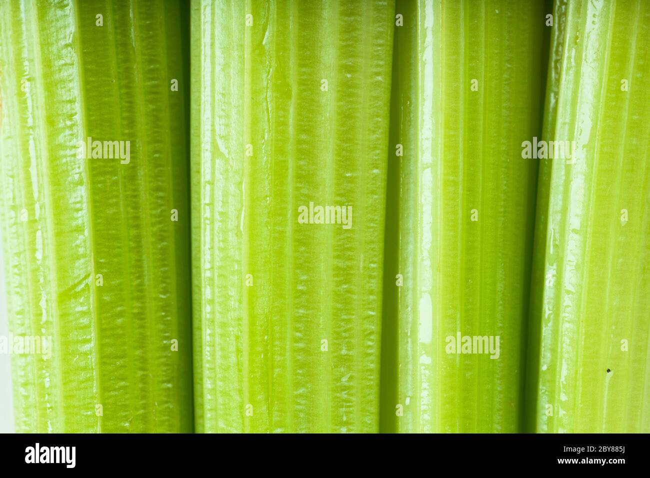 Single celery stalk hi-res stock photography and images - Alamy