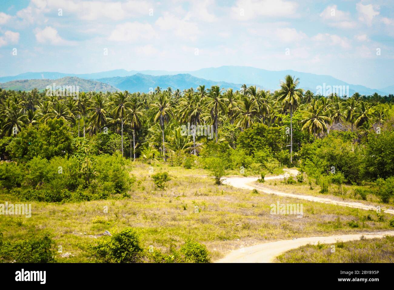 Coconut Row filled a niche in the village. Palms stands behind an ...