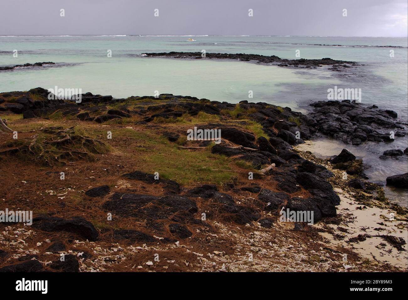 stone in belle mare mauritius Stock Photo - Alamy