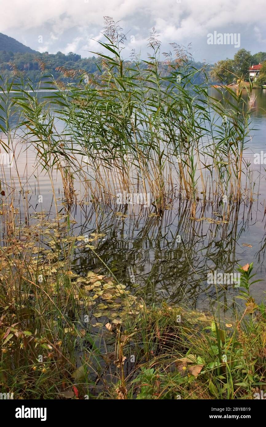Swimming sea autumn hi-res stock photography and images - Alamy