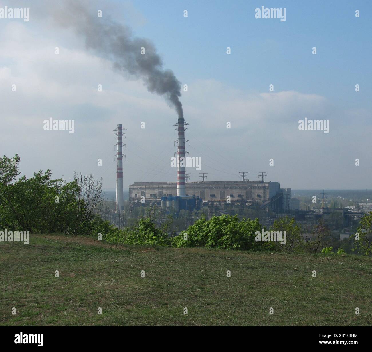 There are green bushes near, and in the distance there is grey smoke ...