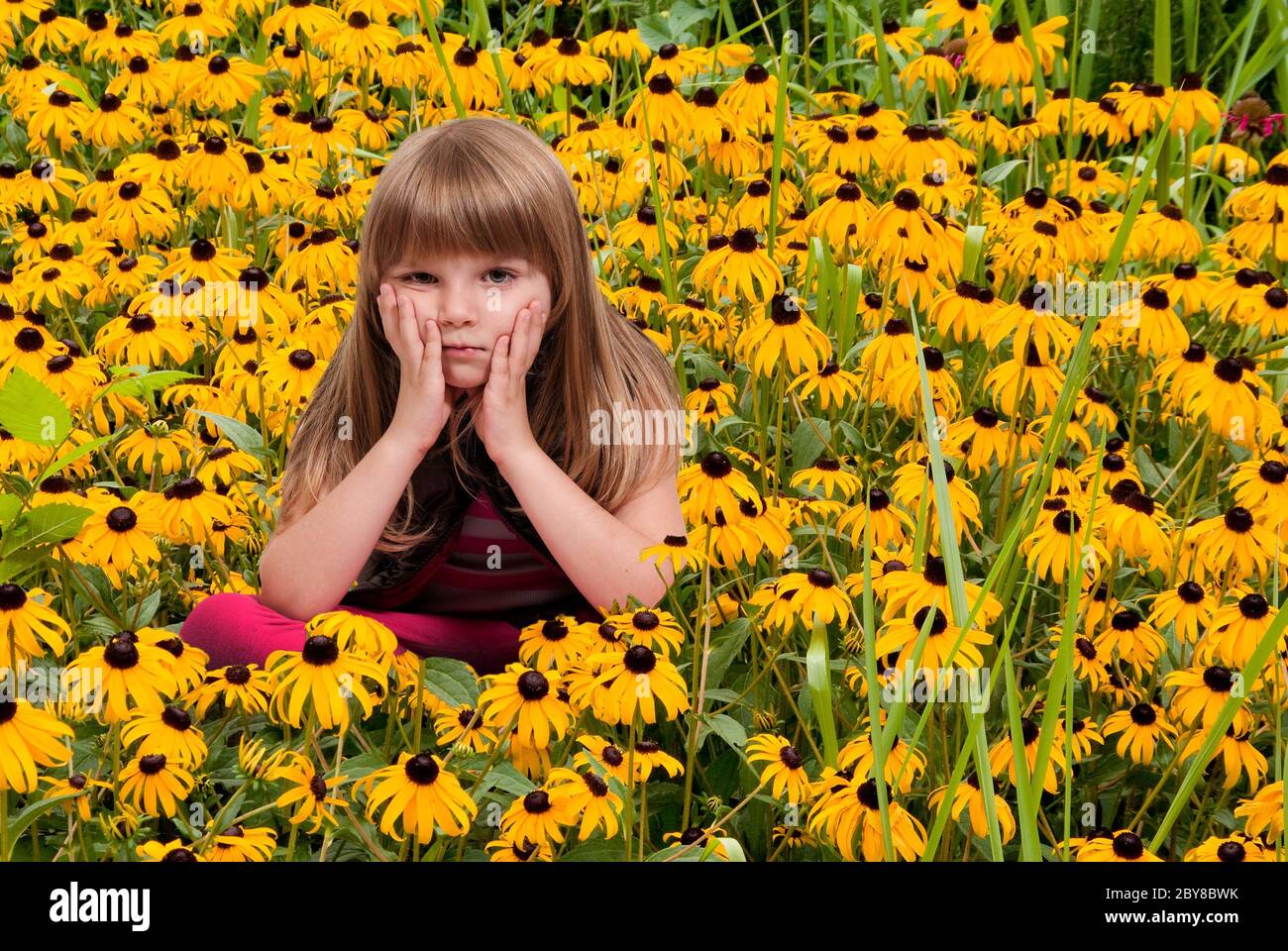 Girl in Blackeyed Susans Stock Photo - Alamy