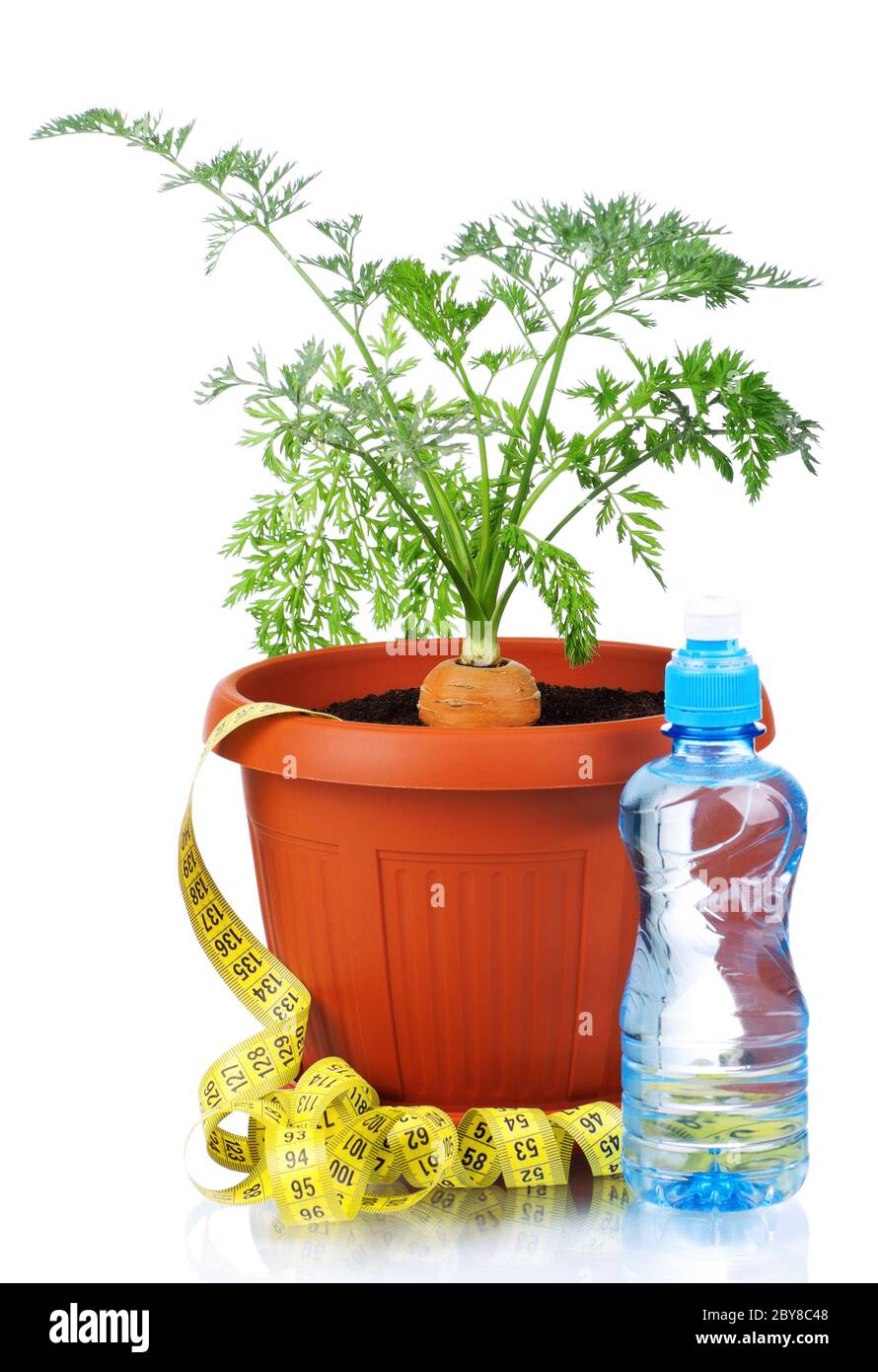 Carrot in plastic pot Stock Photo - Alamy