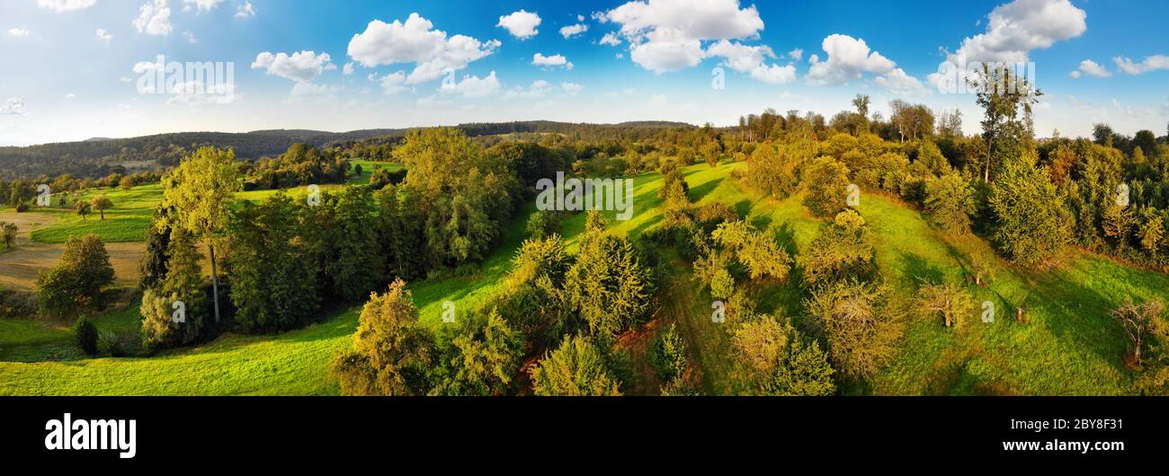 Aerial panorama of beautiful rural landscape, a mix of green meadows ...