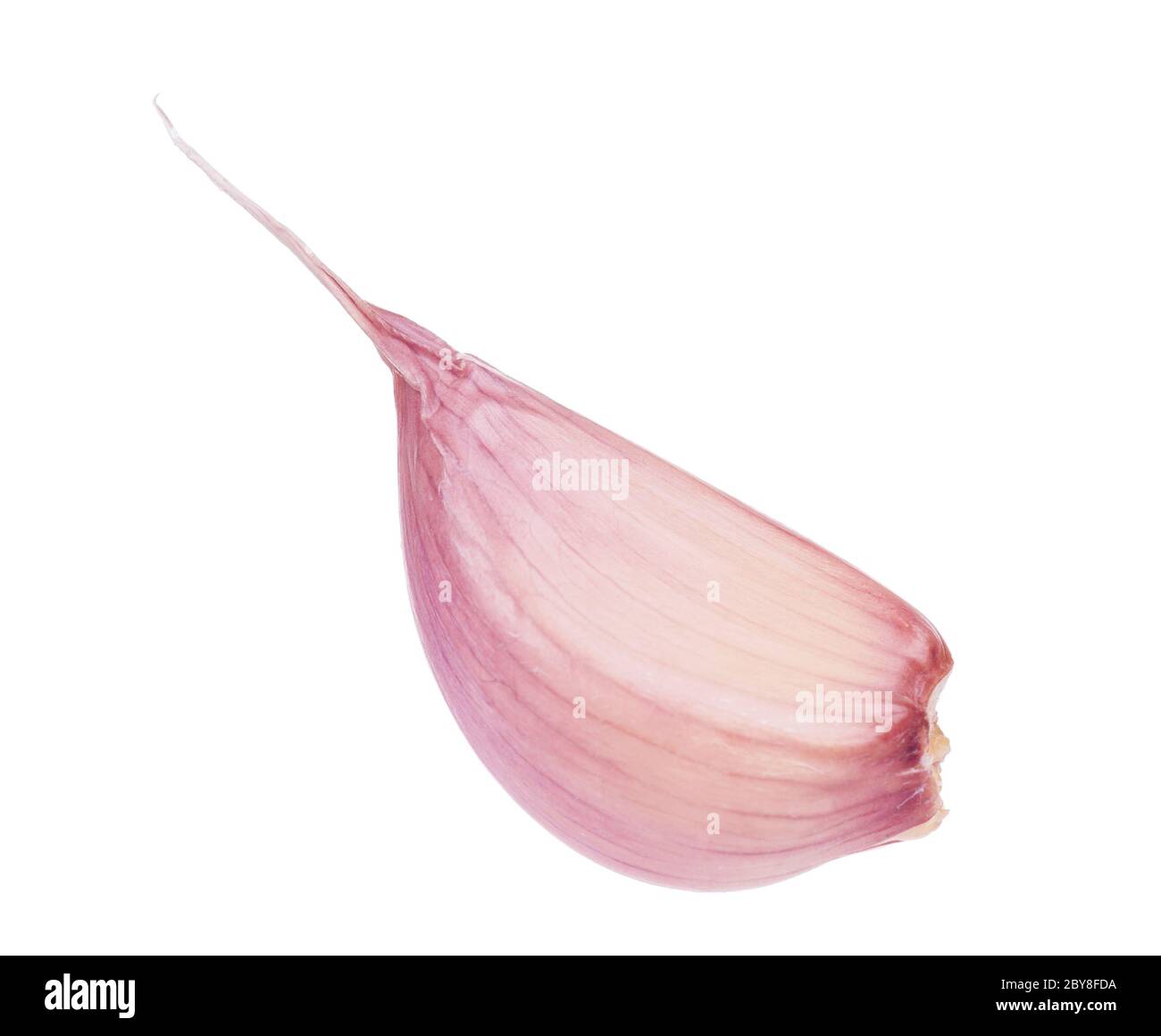 Fresh young garlic Cut Out Stock Images & Pictures - Alamy