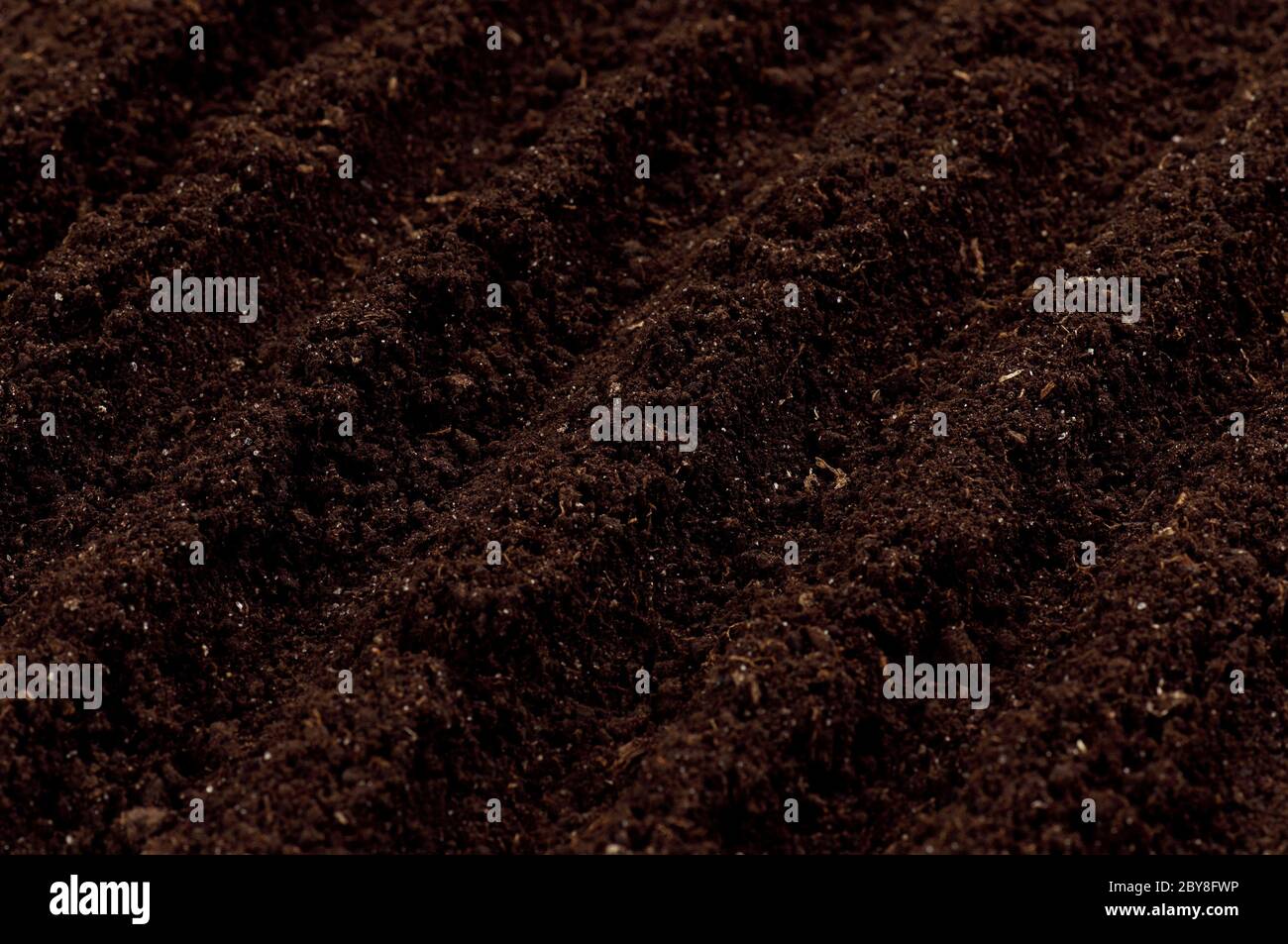 Chernozem soil hi-res stock photography and images - Alamy