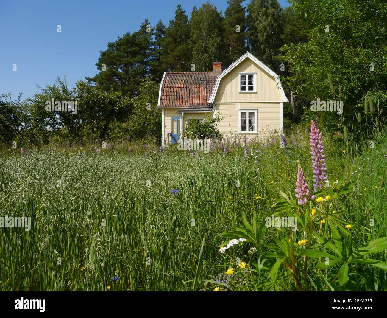 Stuga Sweden High Resolution Stock Photography and Images - Alamy