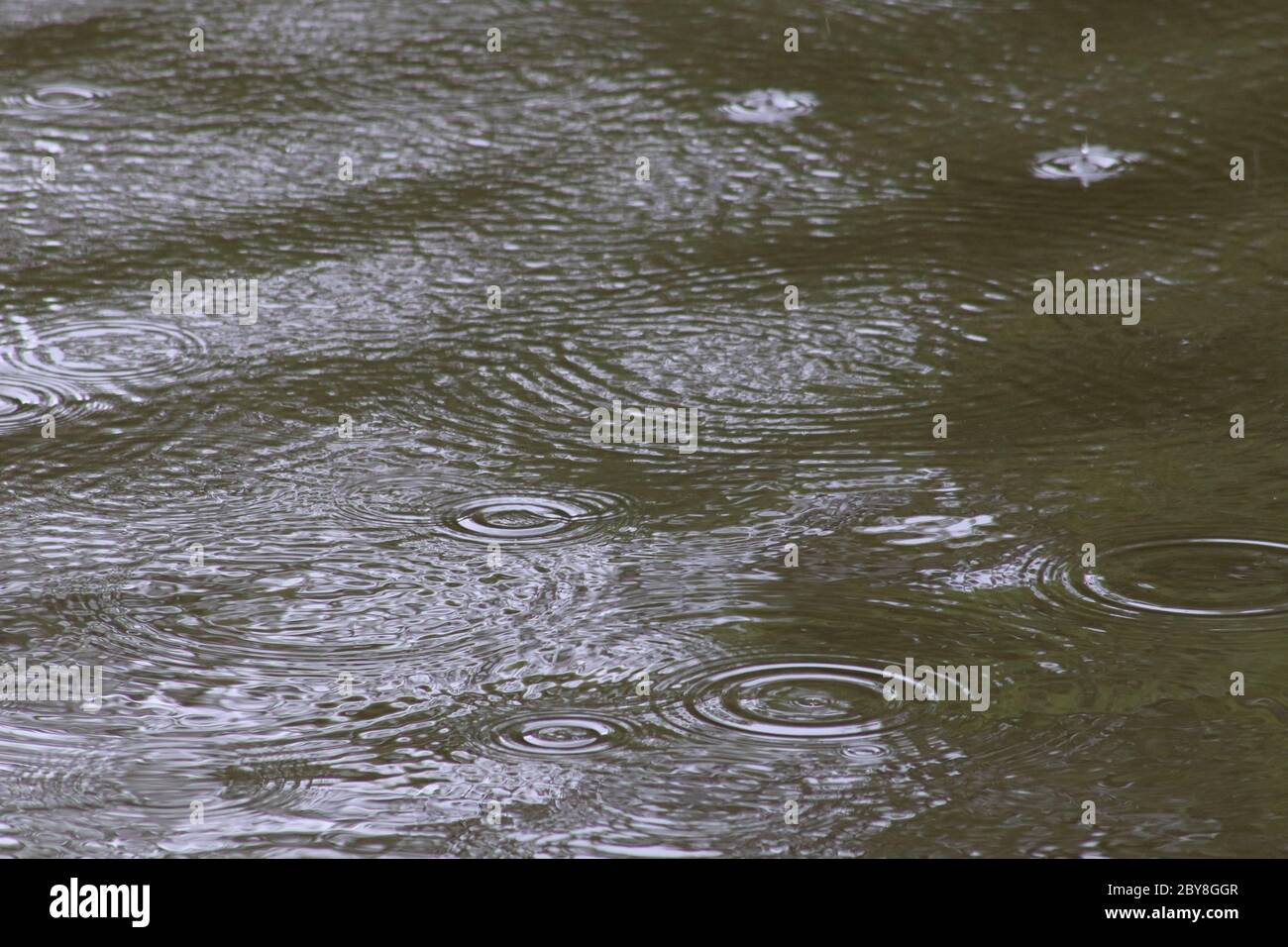 Raindrops in pond Stock Photo - Alamy
