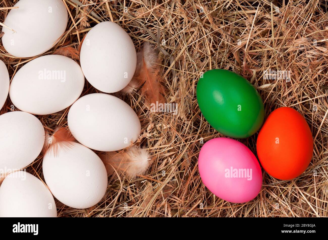Eggs in nest Stock Photo - Alamy