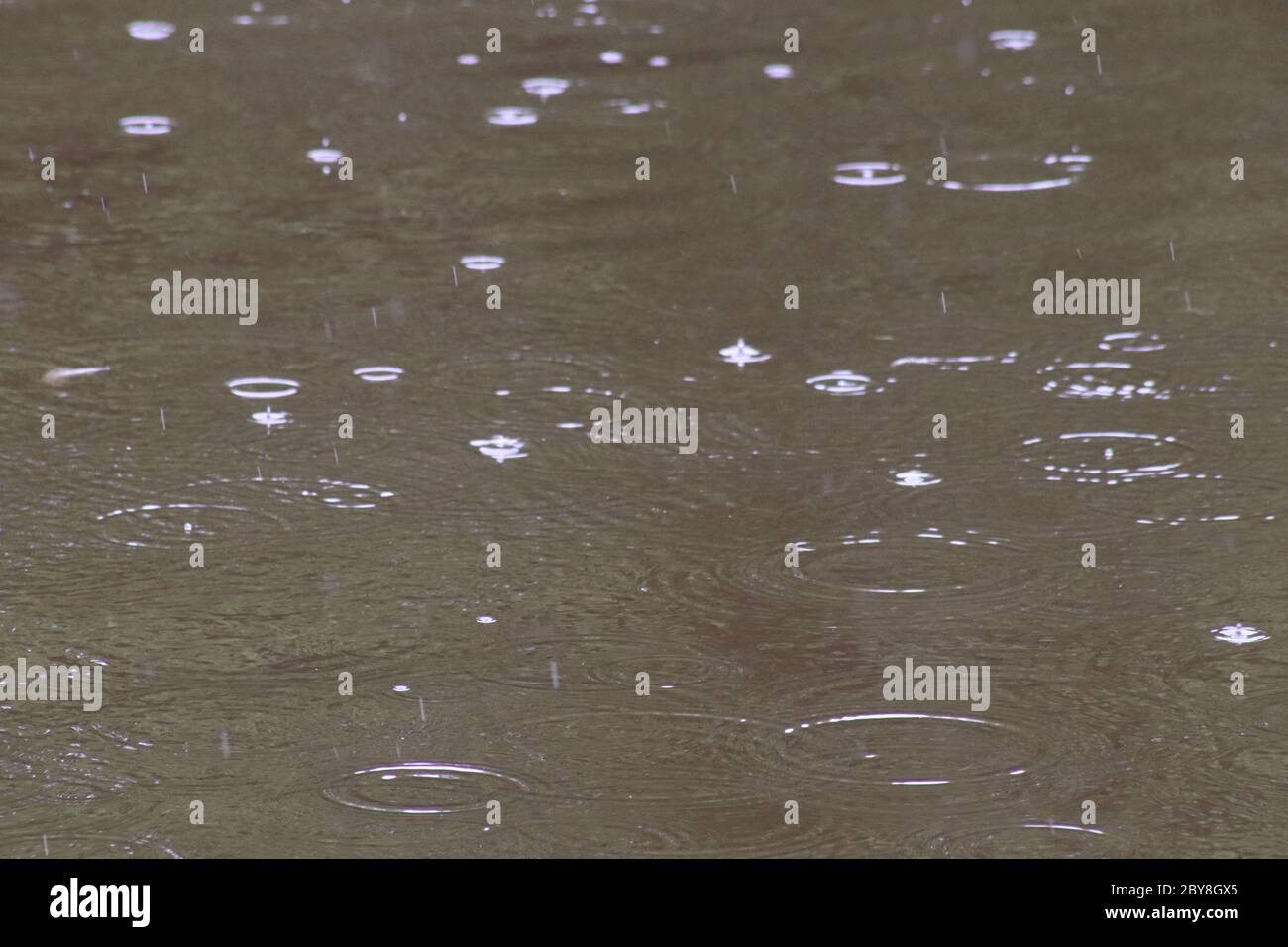 Raindrops in pond Stock Photo - Alamy