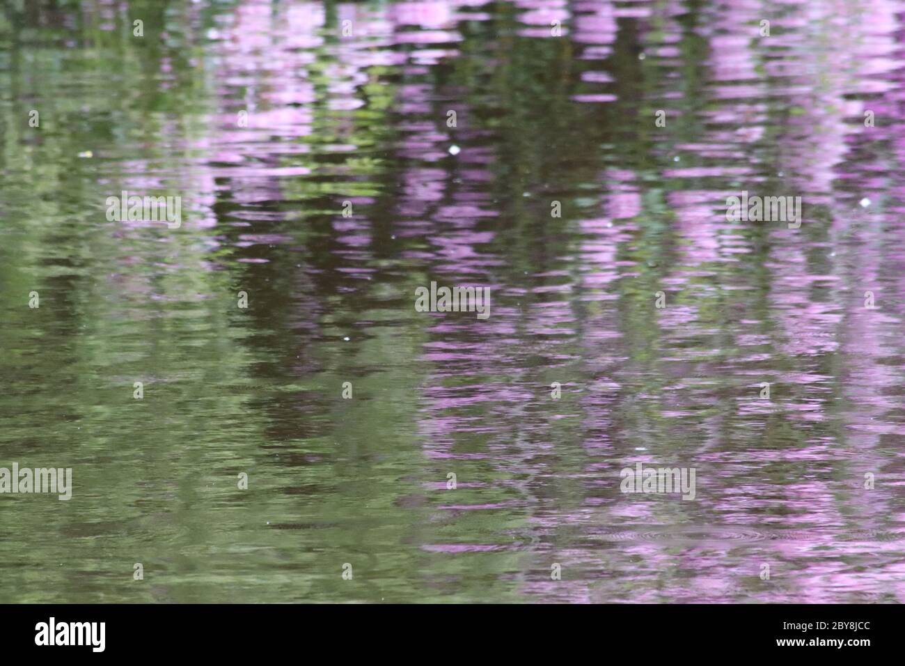 Purple and green reflections in pond Stock Photo - Alamy