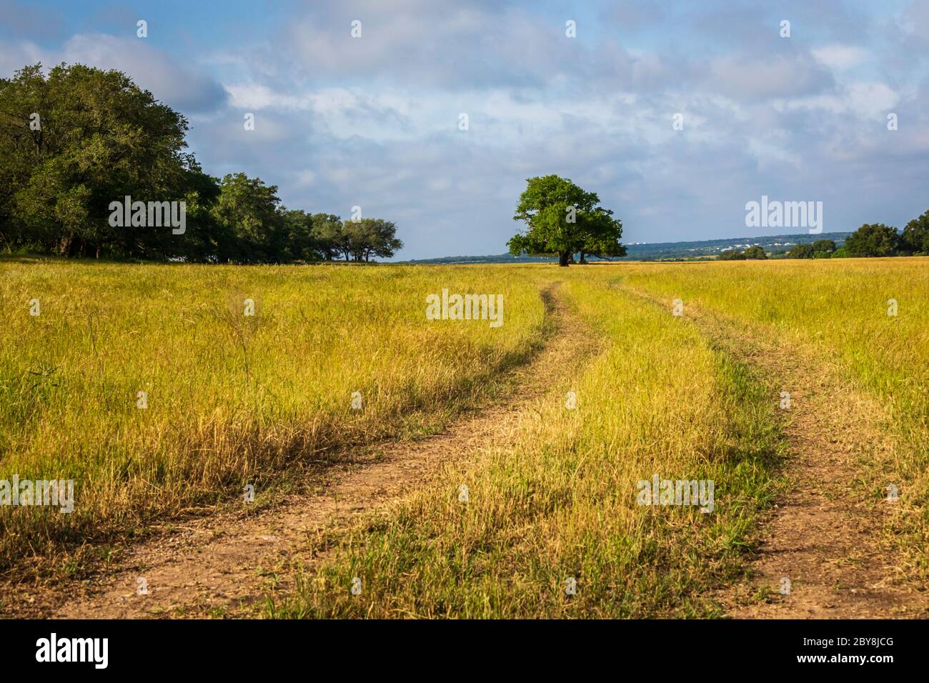 Road to nowhere texas hi-res stock photography and images - Alamy
