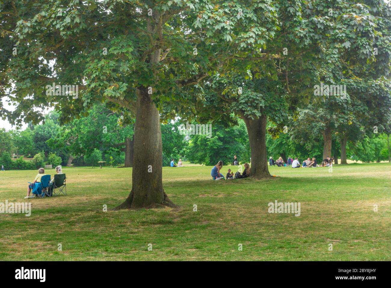 Park sitting shade tree people summer hi-res stock photography and ...