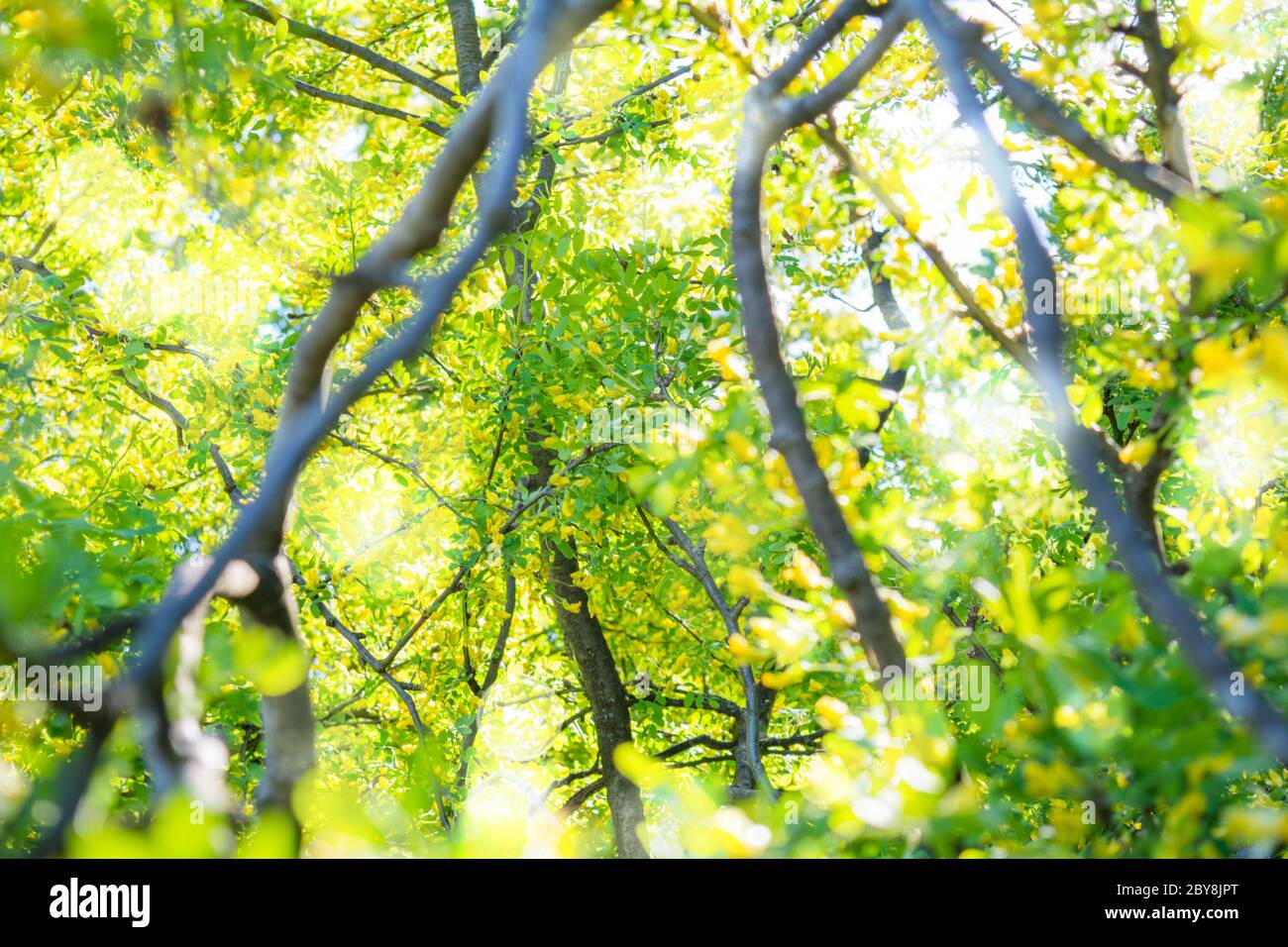 Karagan hi-res stock photography and images - Alamy