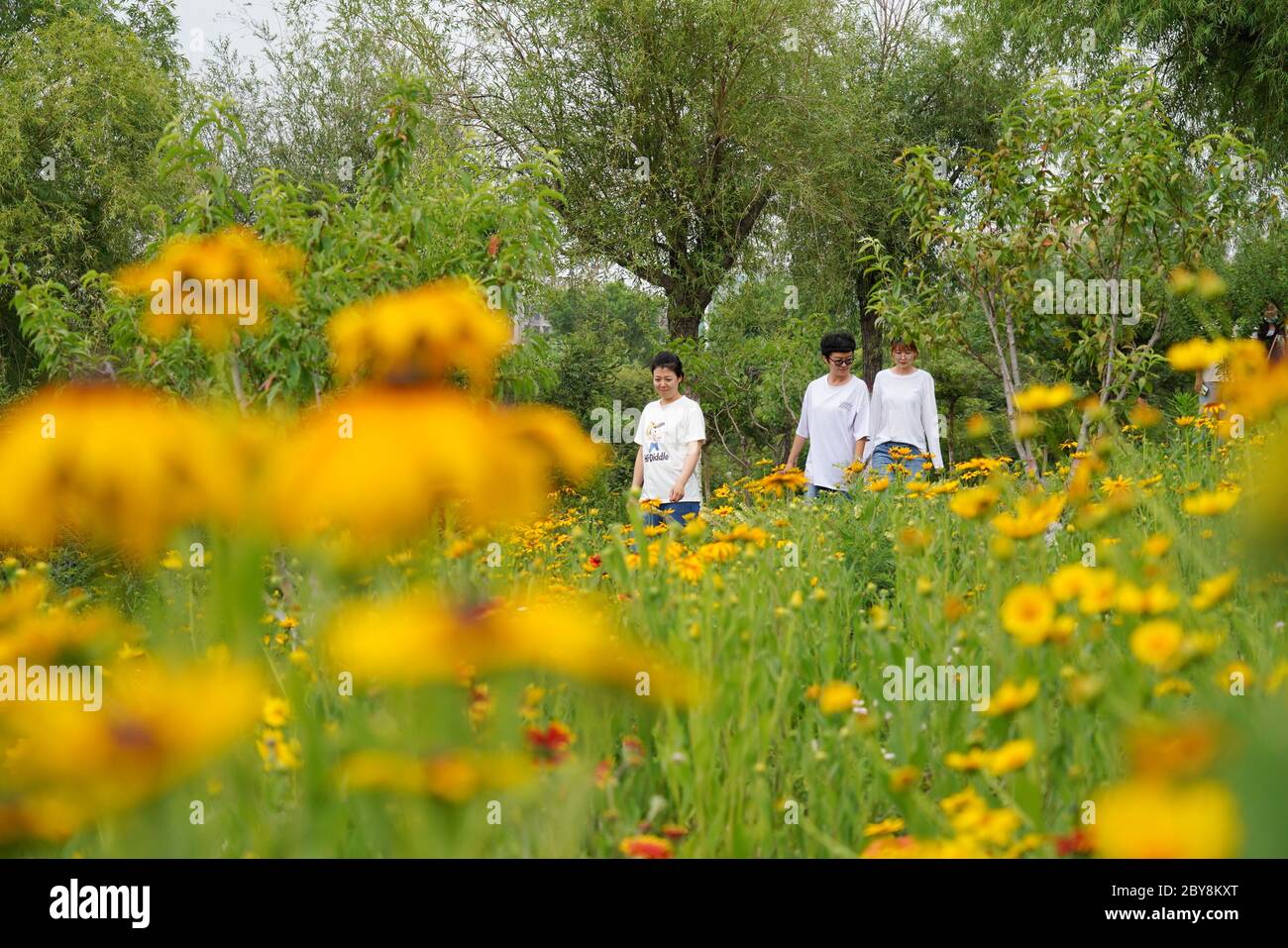 Guye district hi-res stock photography and images - Alamy
