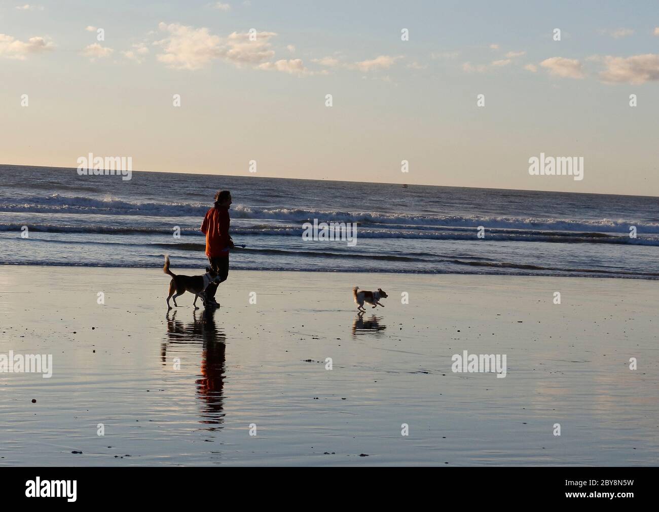 Happy dog silhouette running on hi-res stock photography and images - Alamy