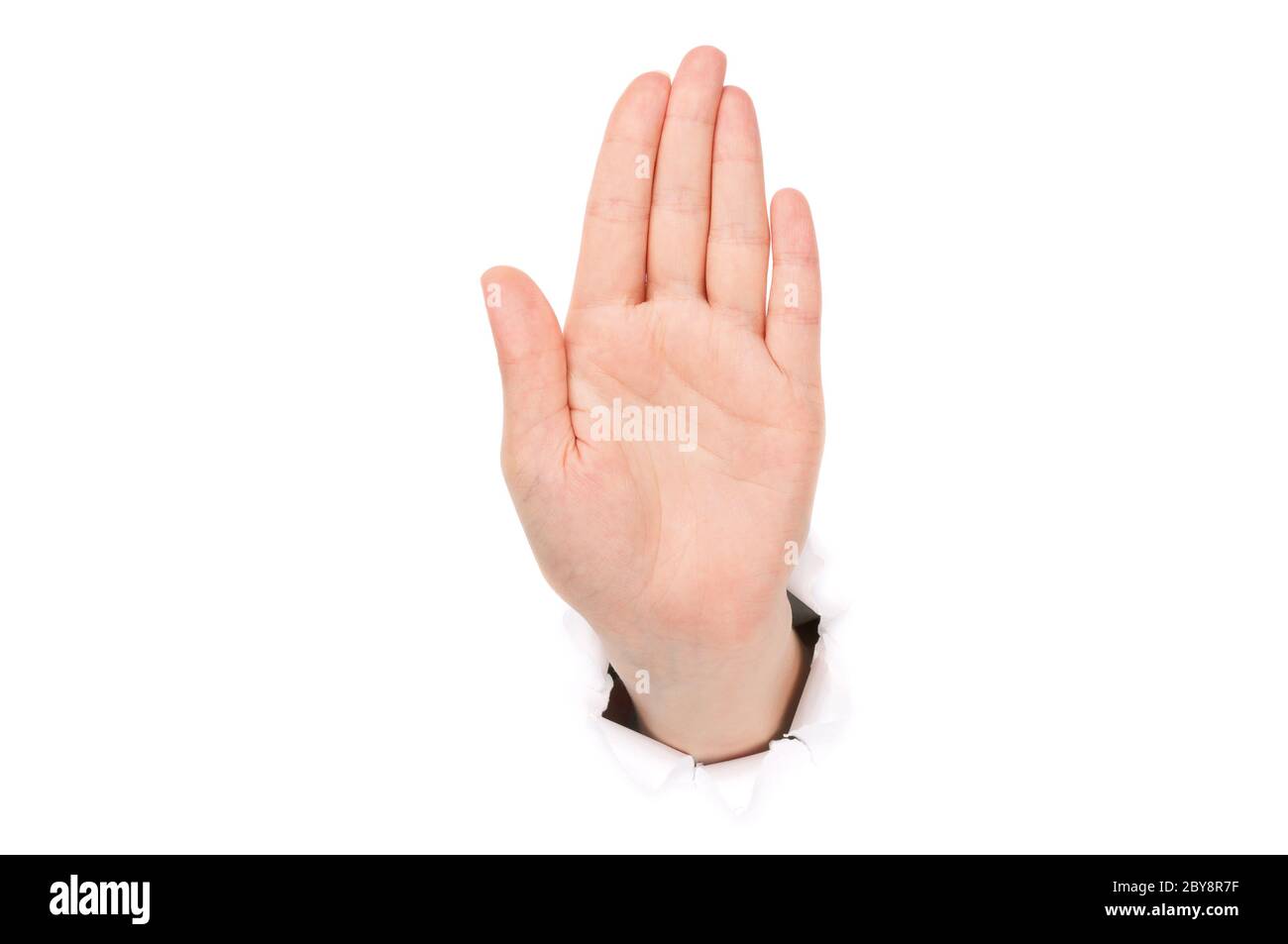 European damage Cut Out Stock Images & Pictures - Alamy