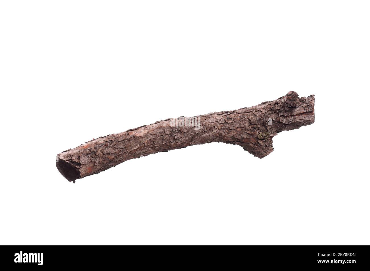 Tree branch limb dry Cut Out Stock Images & Pictures - Alamy
