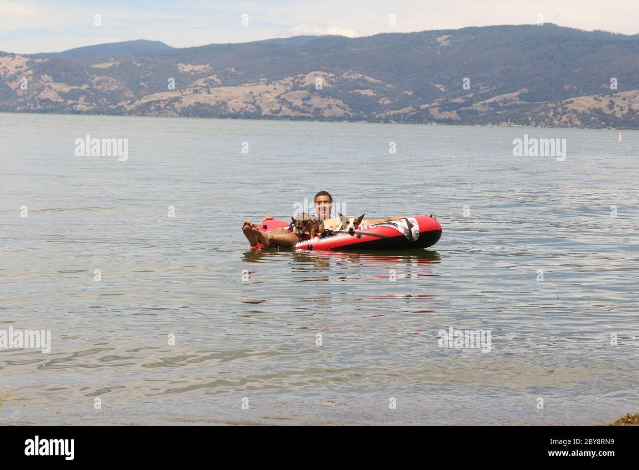 Man floats on raft on lake with his dogs Stock Photo - Alamy