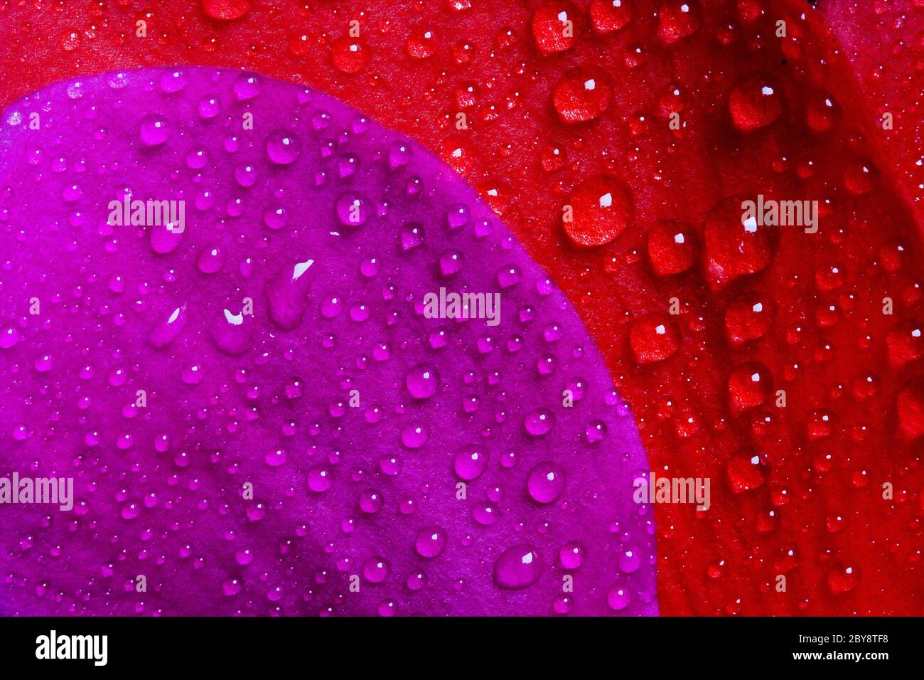 red and violet texture Stock Photo - Alamy