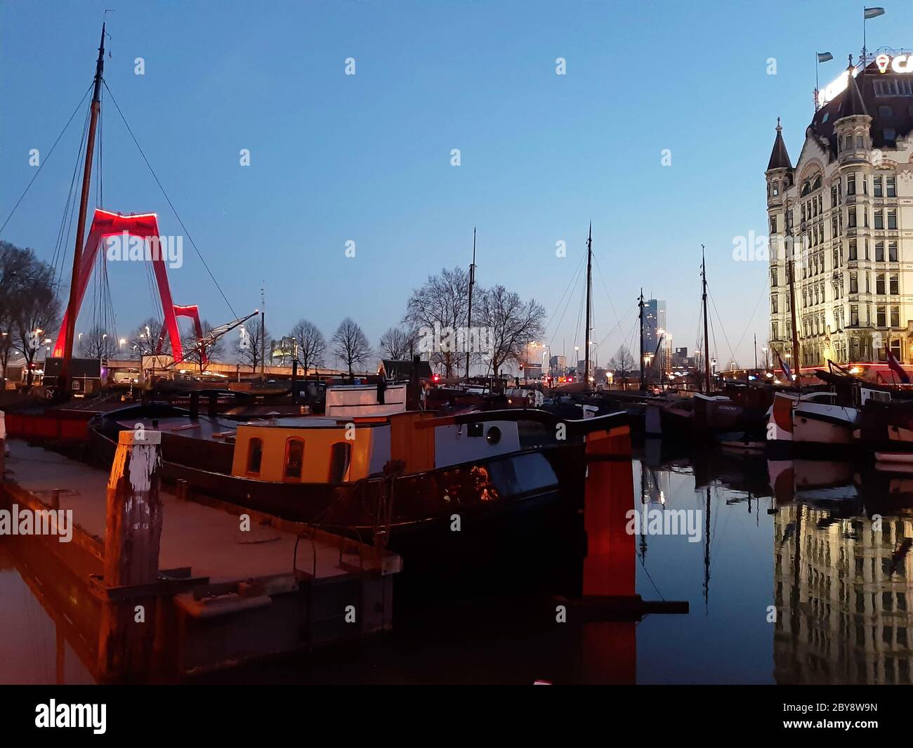 terrace on the port of rotterdam among modern buildings in netherlands ...