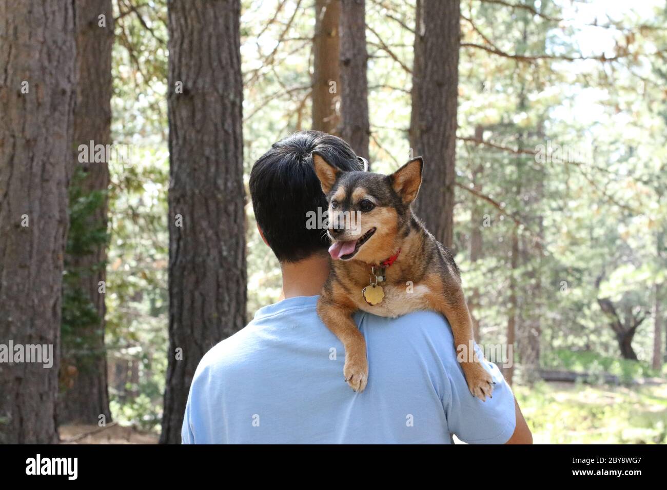 Human dog bond hi-res stock photography and images - Alamy