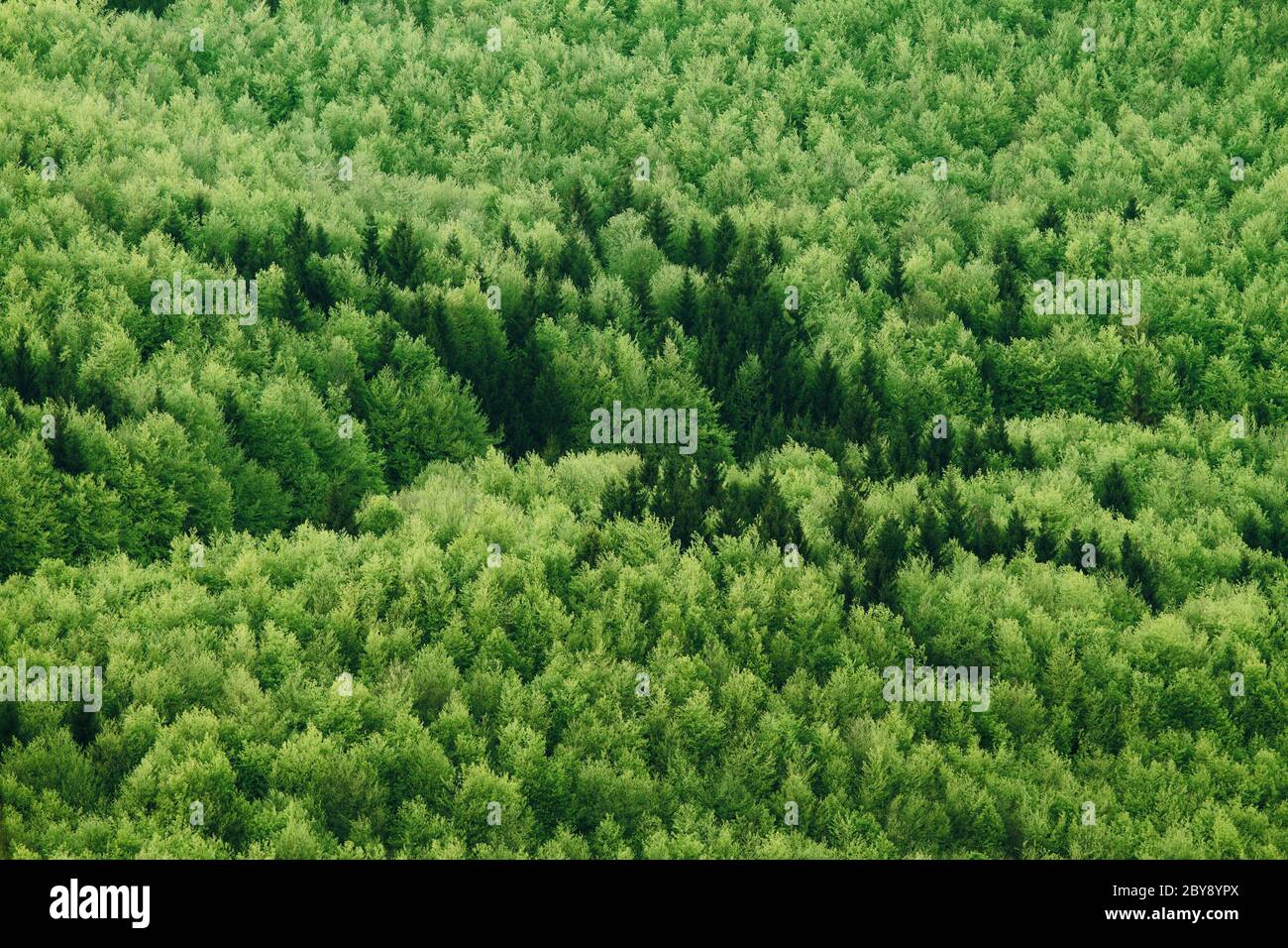 Summer forest aerial view hi-res stock photography and images - Alamy
