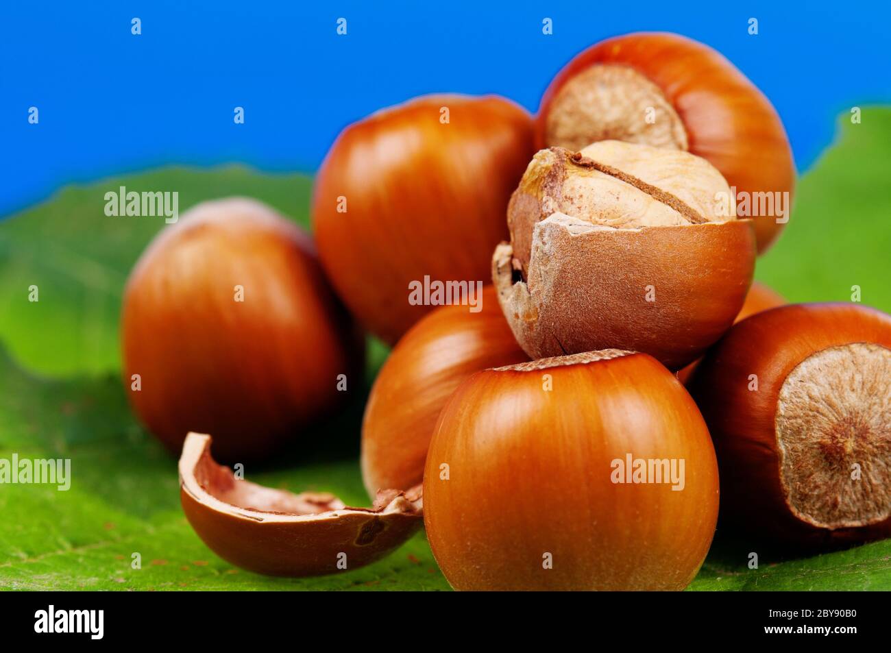 Hazelnut flavor hi-res stock photography and images - Alamy
