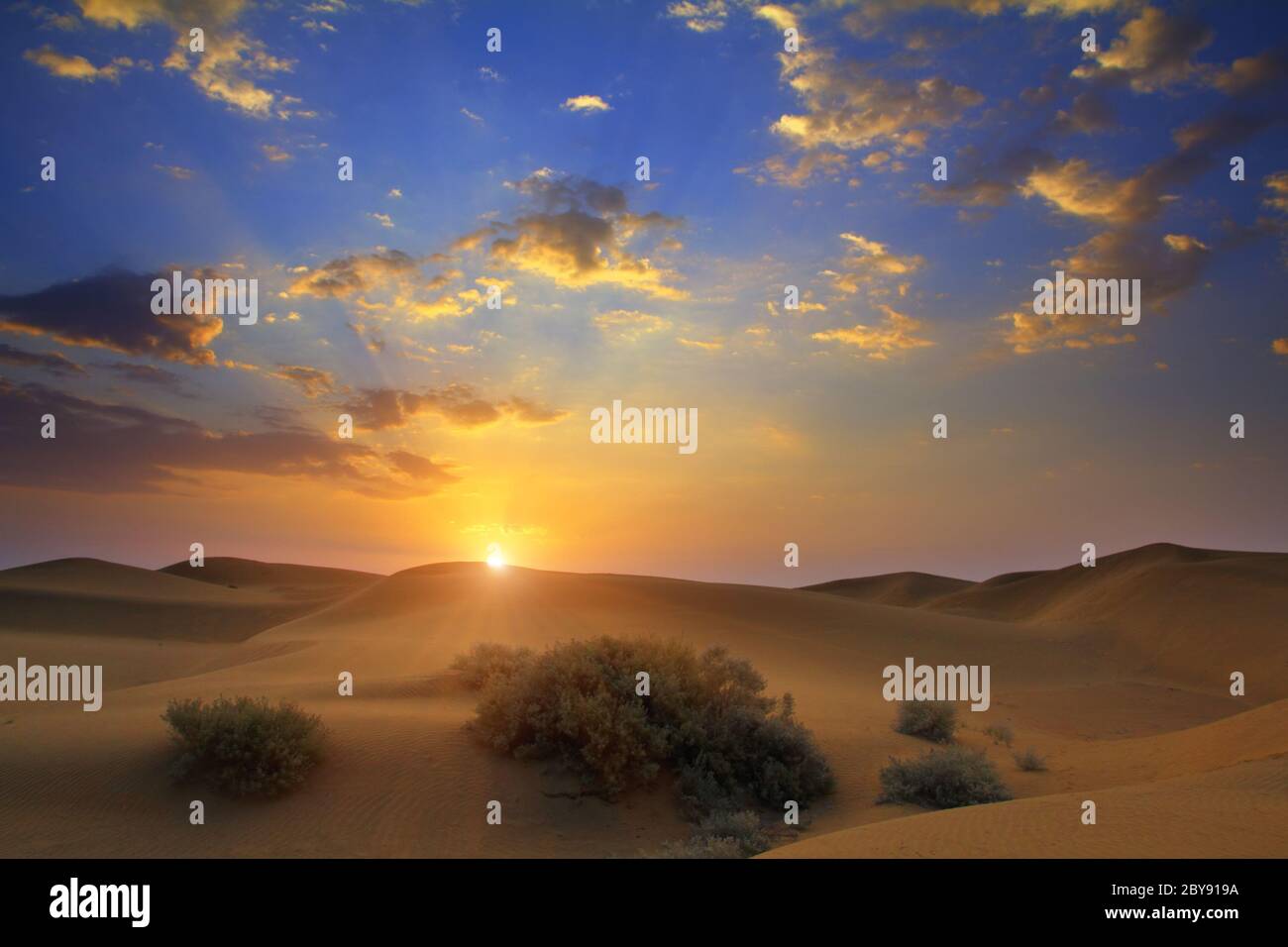 sunrise in desert Stock Photo - Alamy