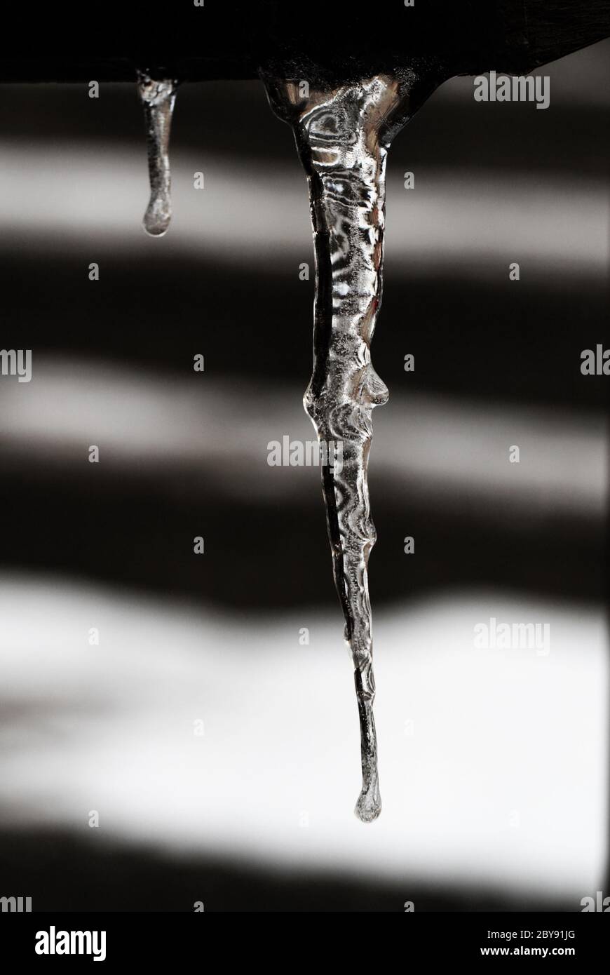 Row of long icicles on black and white background Stock Photo - Alamy