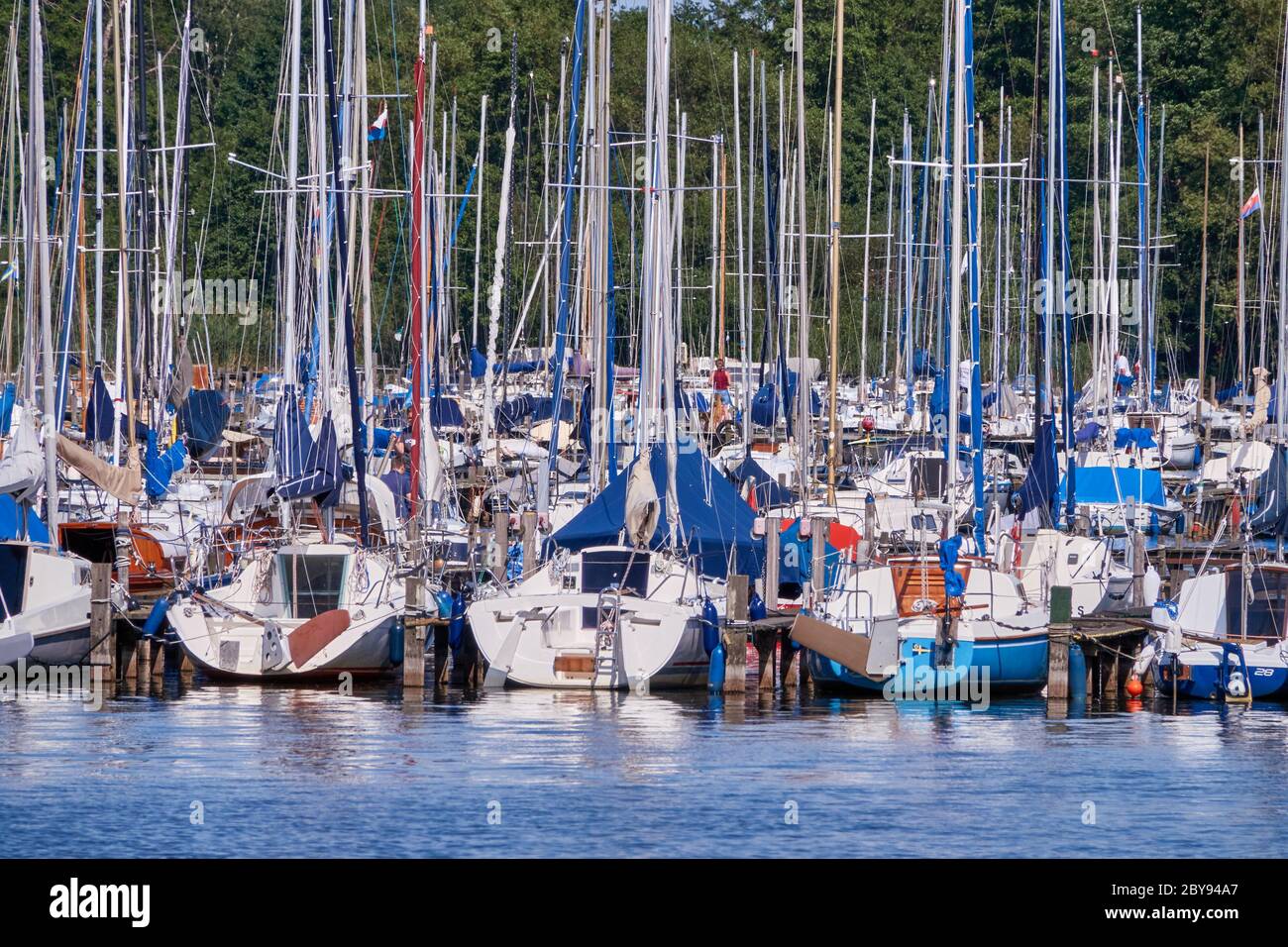 Big tiller hi-res stock photography and images - Alamy