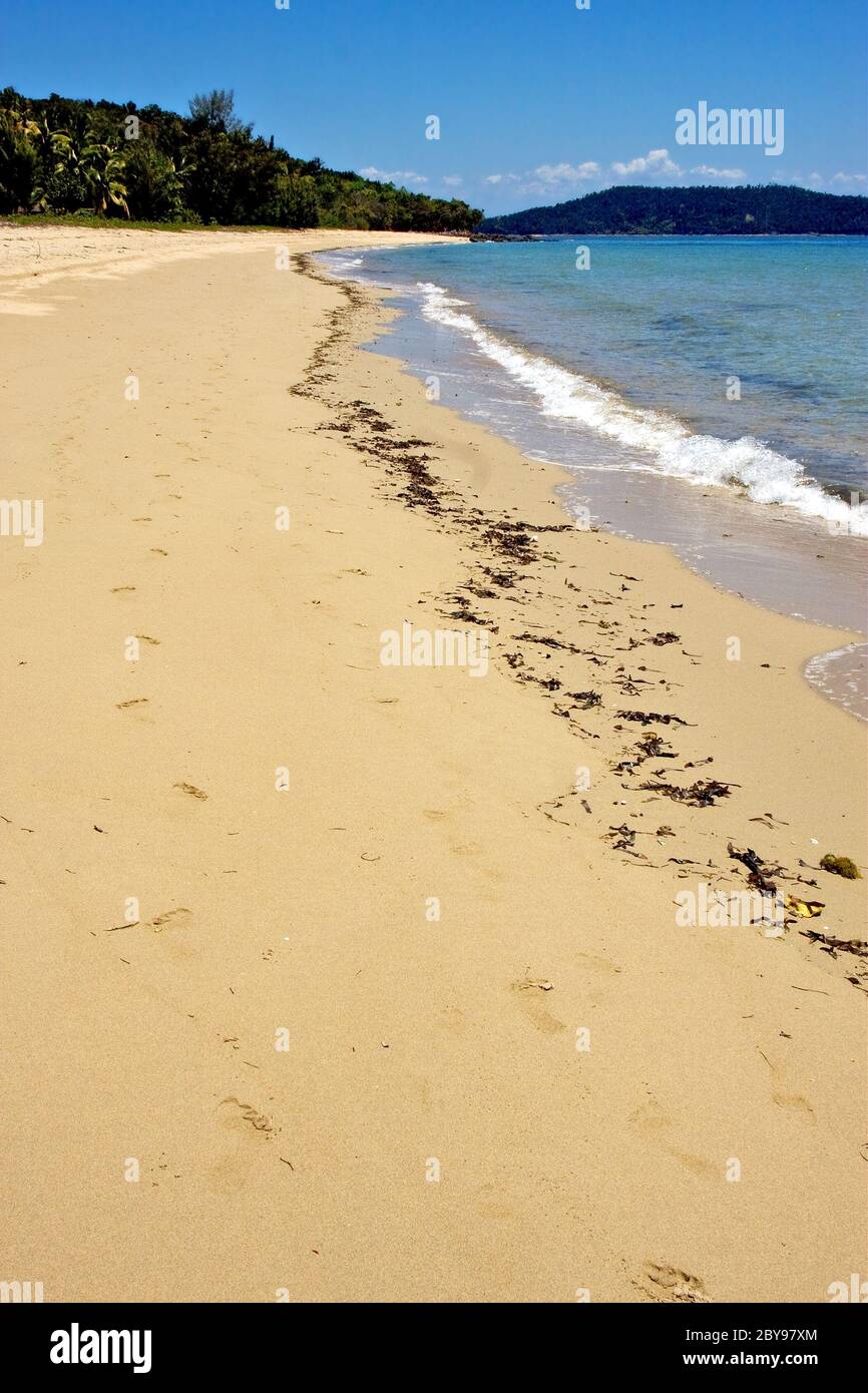 seaweed and sand Stock Photo - Alamy