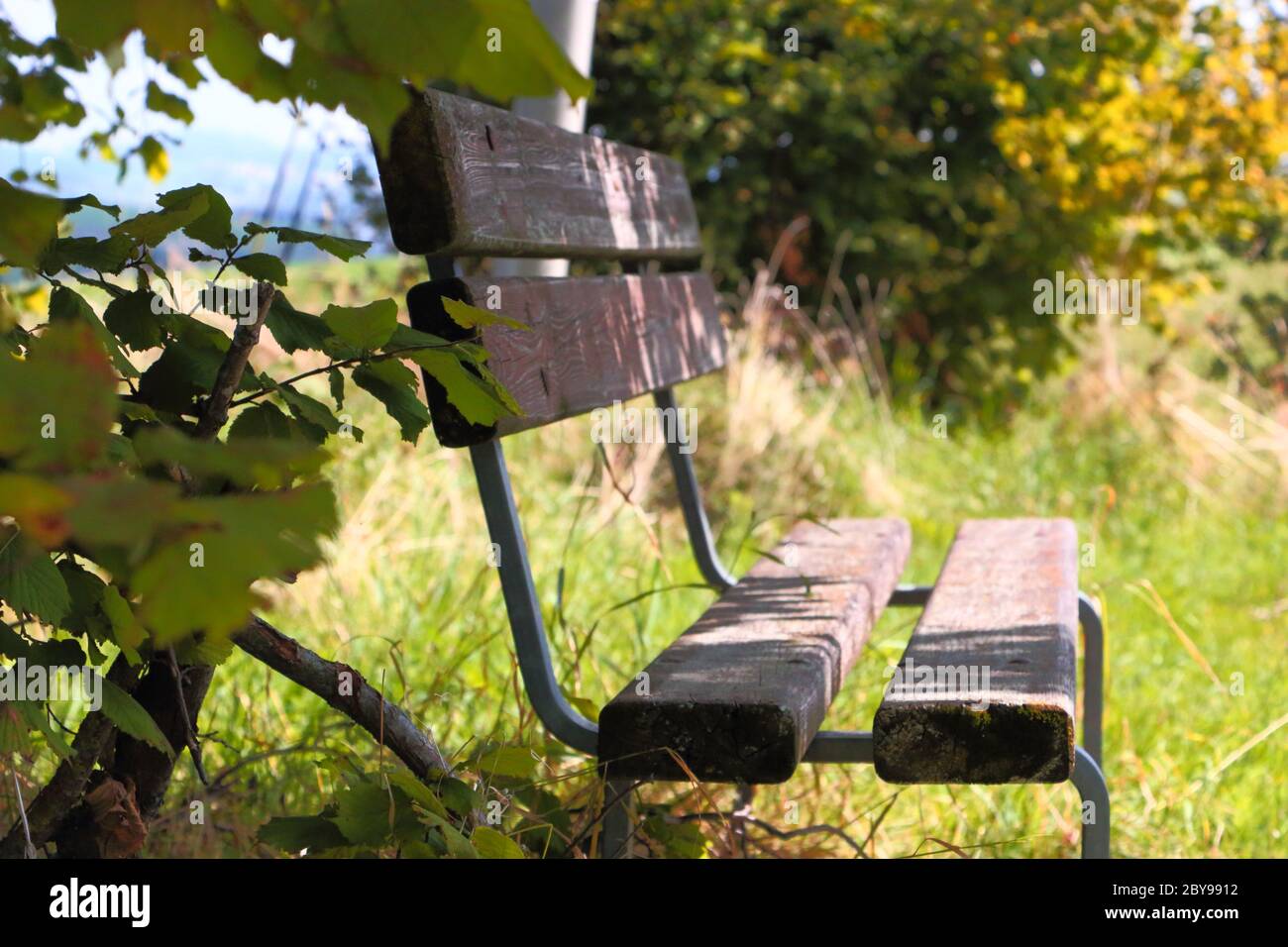 empty bench in nature Stock Photo - Alamy