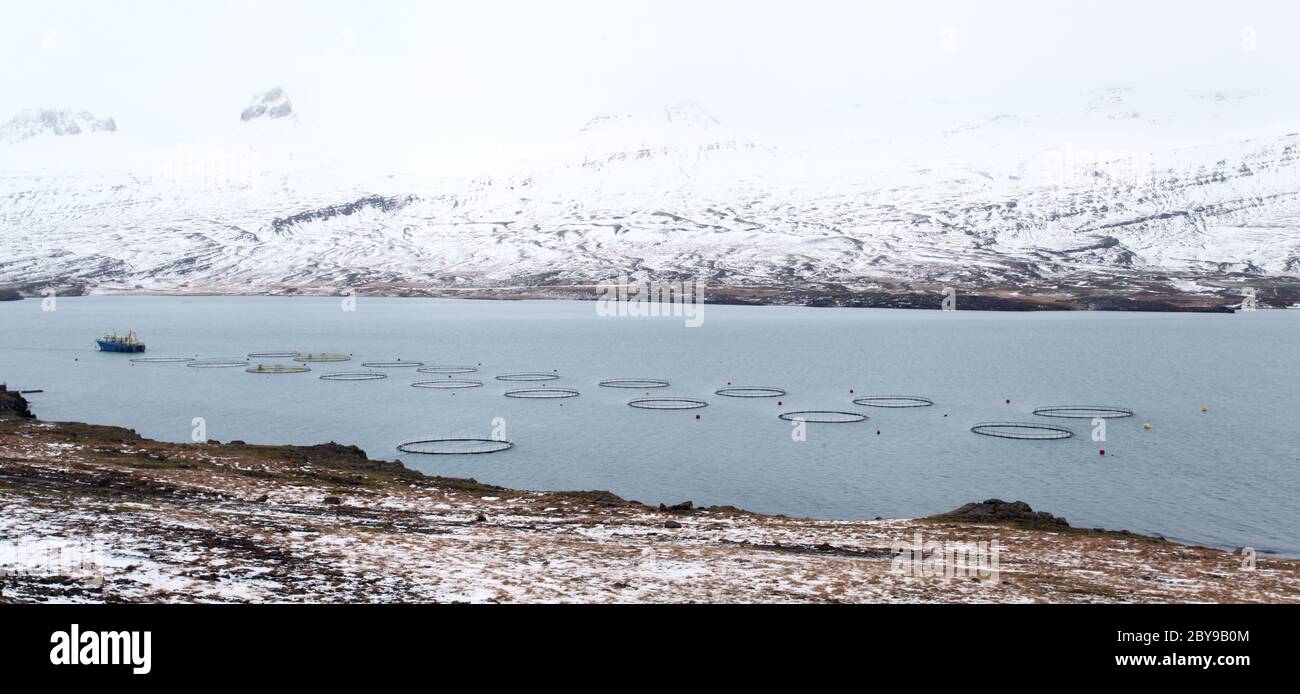 Fish farm iceland Stock Photo - Alamy