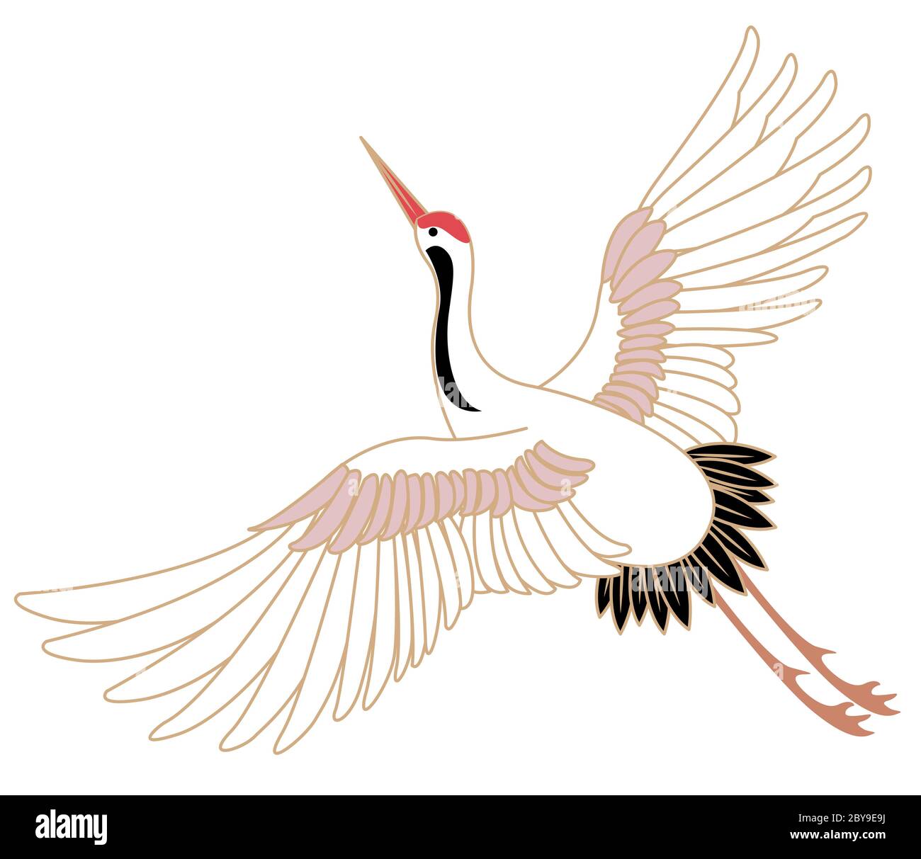 Chinese Crane Bird