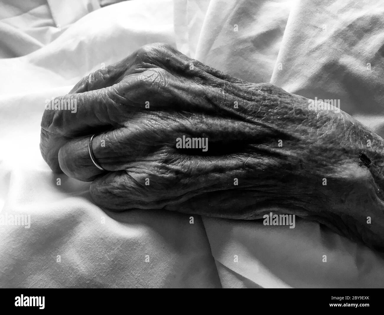 Wrinkled hand of a 92 years old man, Hospital room, Lyon, France Stock ...