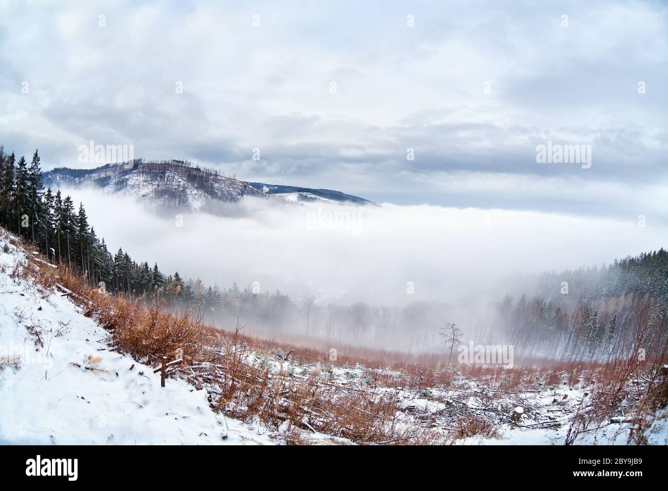 Hiking in dense fog hi-res stock photography and images - Alamy
