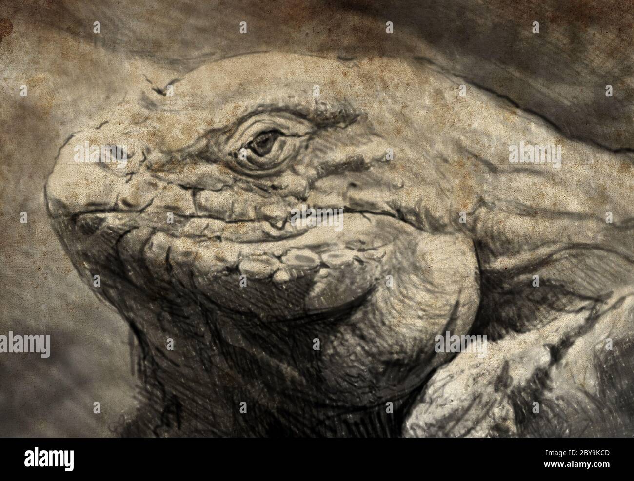 Illustration made with digital tablet, lizard in sepia Stock Photo - Alamy