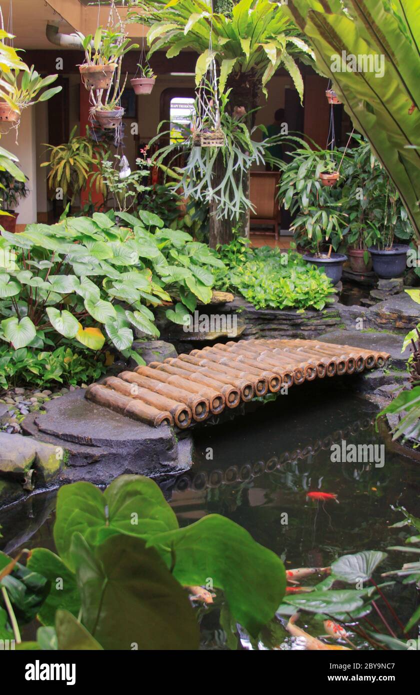 Interior patio garden with lake, fish and lush vegetation in Yogyakarta ...